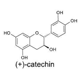 pycnogenol_百度百科