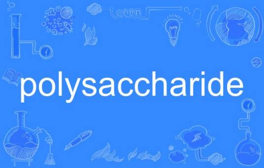 polysaccharide（英语单词）_百度百科
