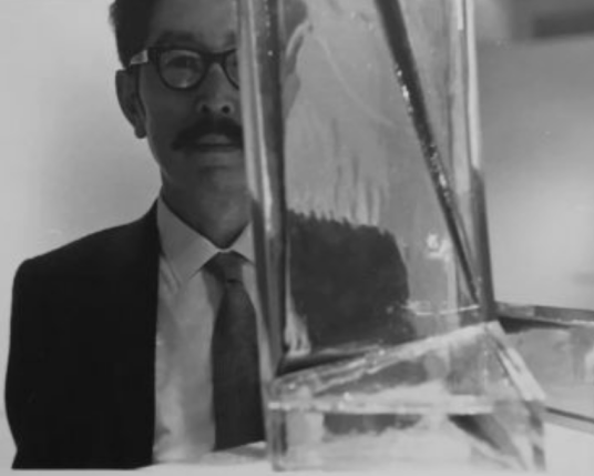 Leo Amino_百度百科