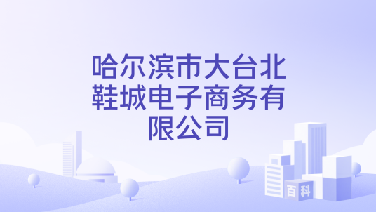 哈尔滨市大台北鞋城电子商务有限公司_百度百科