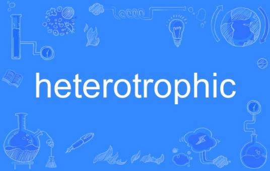 heterotrophic_百度百科