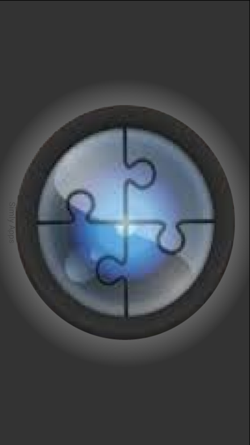 Cam Puzzle_百度百科