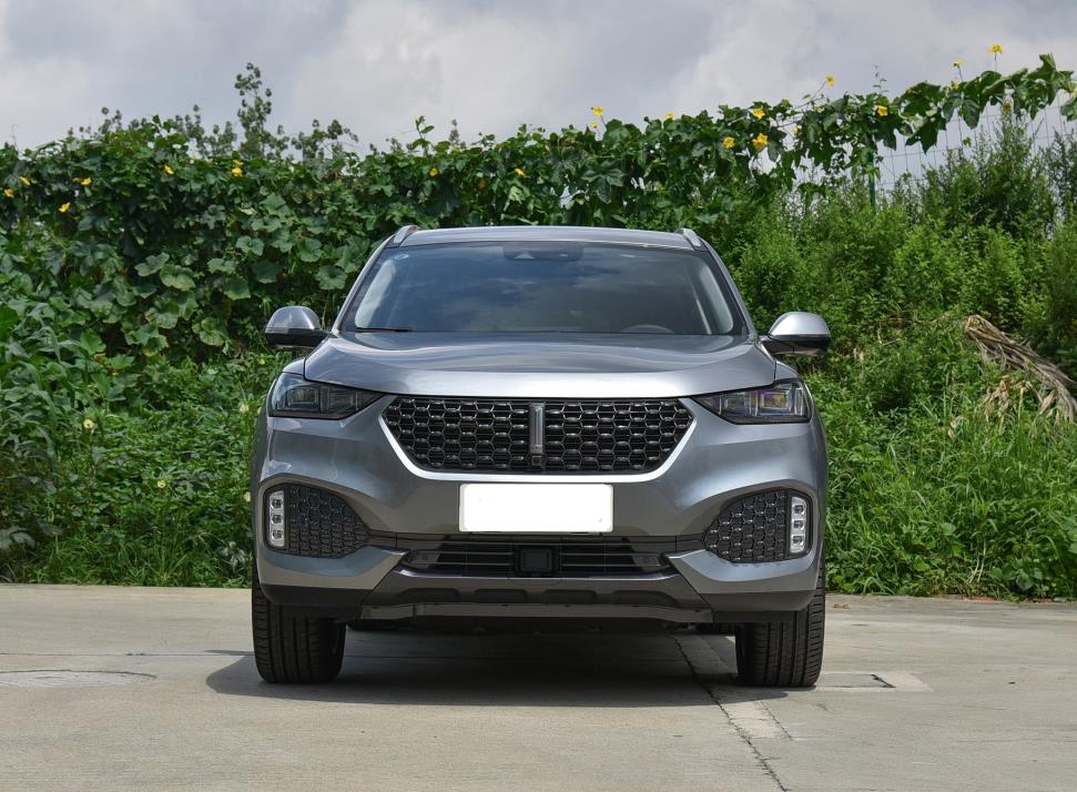 18万怎么选车？WEY VV6还是传祺GS8？读完你就明白了_百科TA说