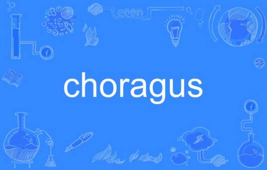 choragus_百度百科