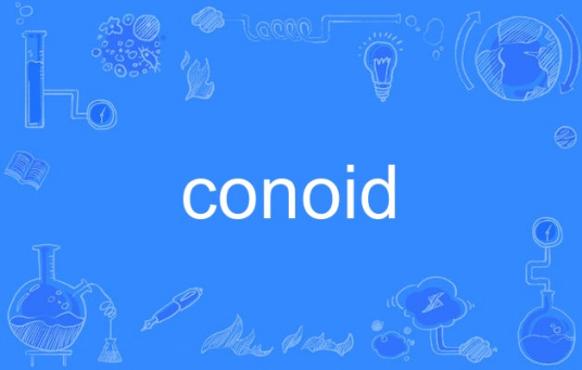 conoid_百度百科