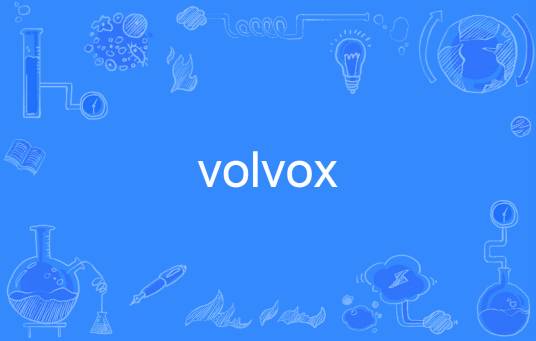 volvox_百度百科