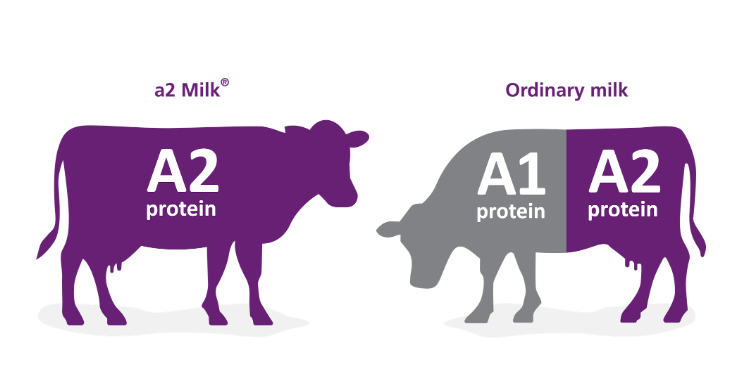 A1型β-酪蛋白_百度百科