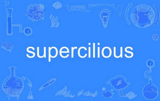 supercilious_百度百科