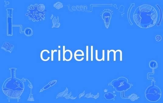 cribellum（英语单词）_百度百科