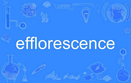 efflorescence（英语单词）_百度百科
