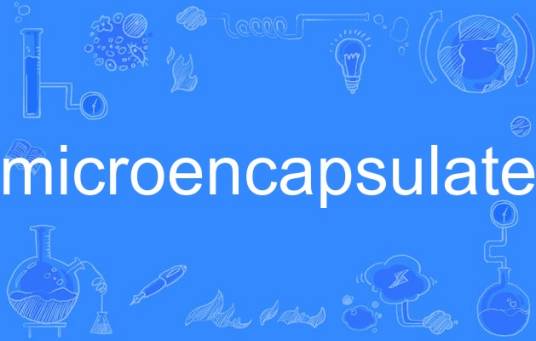 microencapsulate_百度百科