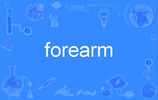 forearm（英语单词）_百度百科