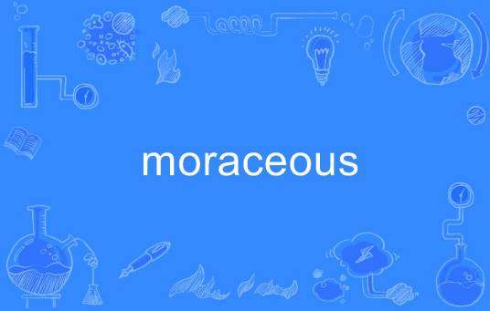 moraceous_百度百科