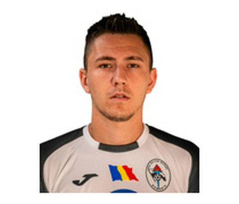 米哈伊·韦利萨尔_百度百科