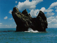 达里尼_百度百科