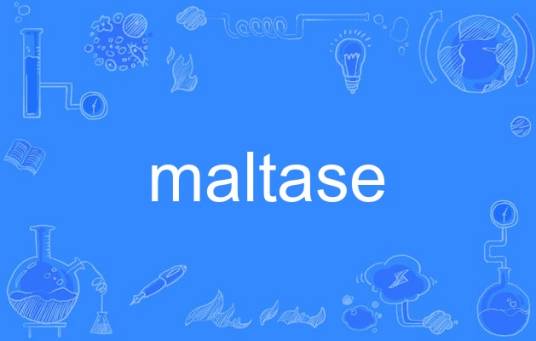 maltase_百度百科