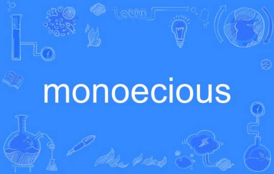 monoecious_百度百科