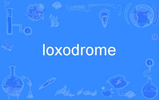 loxodrome_百度百科