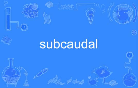subcaudal_百度百科