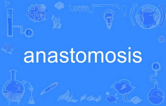 anastomosis_百度百科