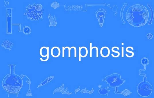 gomphosis_百度百科