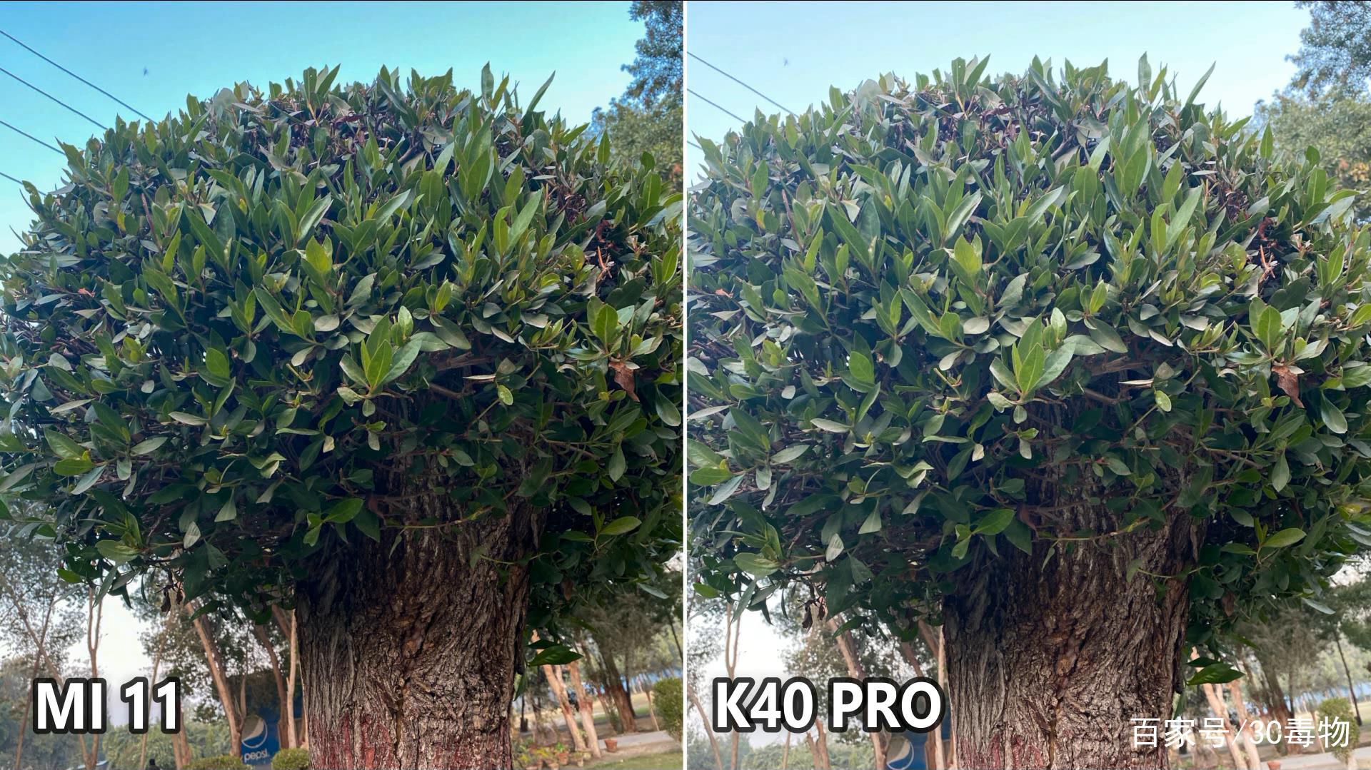 照片实拍对比，6400万对决1.08亿，红米K40Pro和小米11谁更强_百科TA说