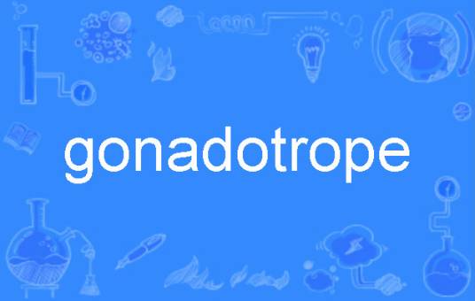 gonadotrope_百度百科