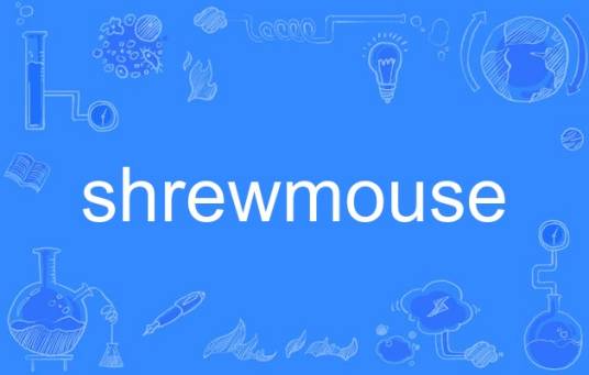 shrewmouse_百度百科