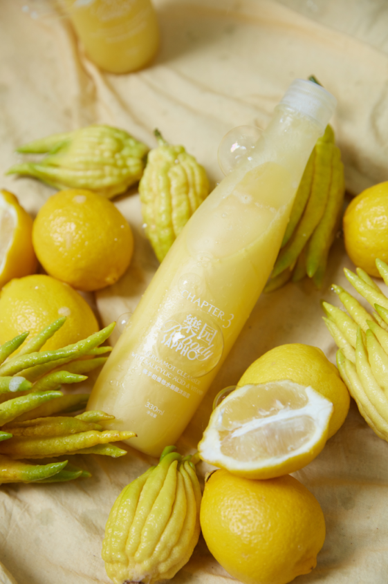 SAPPHO REBODY_百度百科