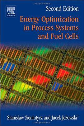 Energy Optimization in Process Systems and Fuel Cells_百度百科