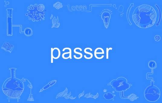 passer（英语单词）_百度百科