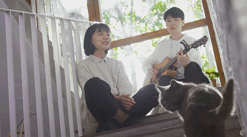 房东的猫（中国内地女子双人唱作组合）_百度百科