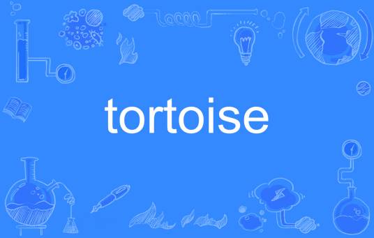 Tortoise（英语单词）_百度百科