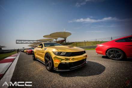 AMCC（中国美式肌肉俱乐部）_百度百科