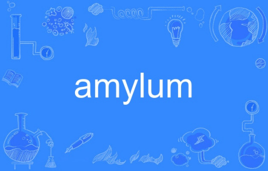 amylum_百度百科