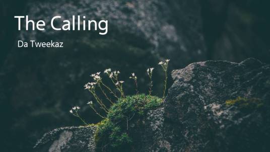 The Calling（劳拉·布雷姆演唱歌曲）_百度百科