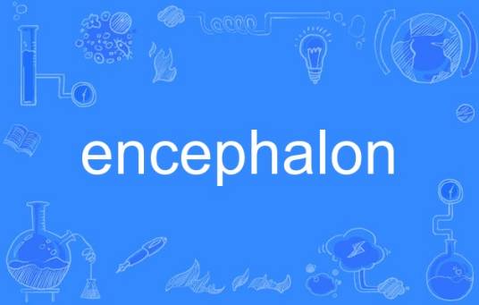 encephalon_百度百科