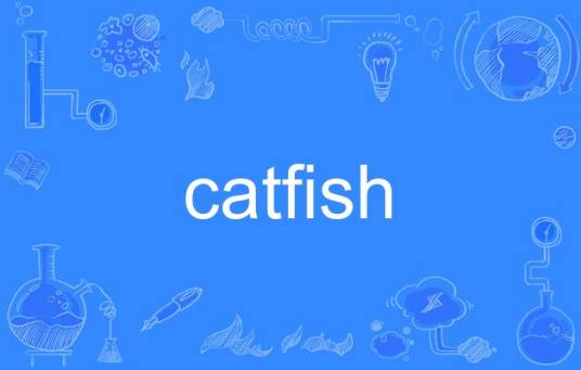 Catfish_百度百科