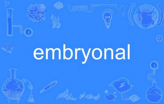 embryonal_百度百科