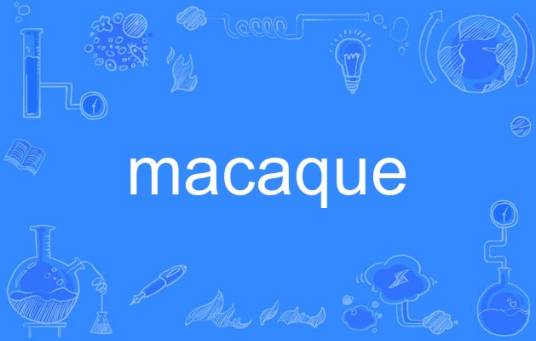 macaque_百度百科