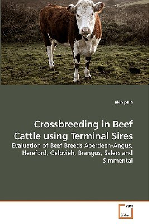 Crossbreeding in Beef Cattle Using Terminal Sires_百度百科
