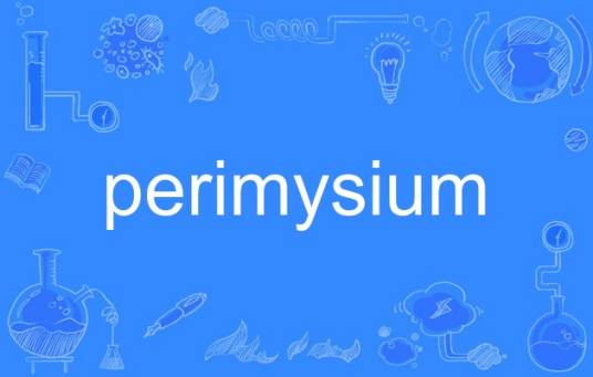 perimysium_百度百科