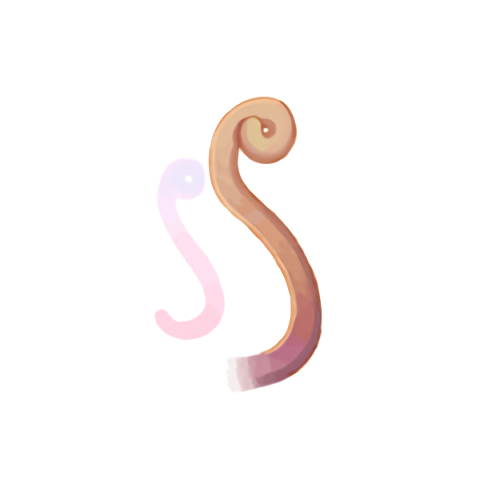 猴子尾巴_百度百科