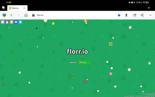 florr.io_百度百科