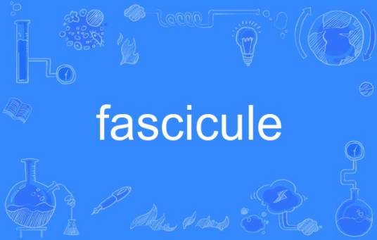 fascicule_百度百科