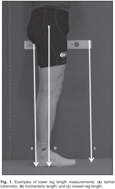 下肢全长_百度百科