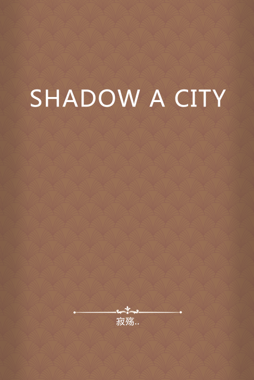 SHADOW A CITY_百度百科