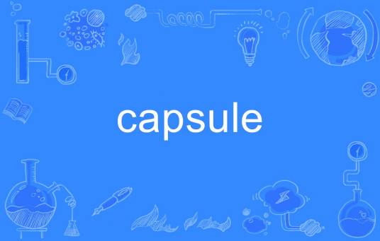 capsule（英语单词）_百度百科