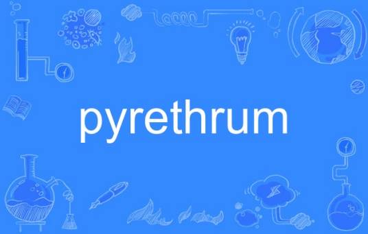 pyrethrum（英语单词）_百度百科