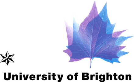 布莱顿大学_百度百科